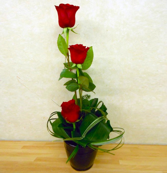 Love, Passion and Romance by The Secret Garden Florist - Margate CT9 2QN